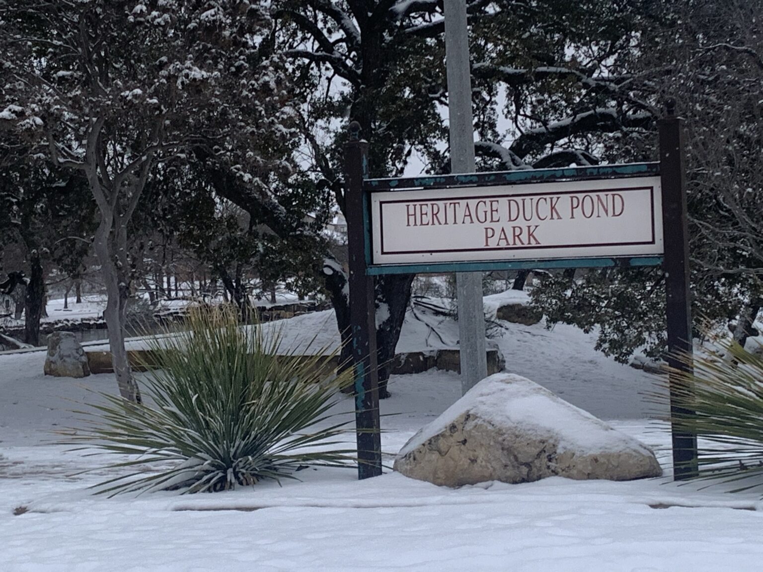 Duck Pond Park – Taking care of the Ducks